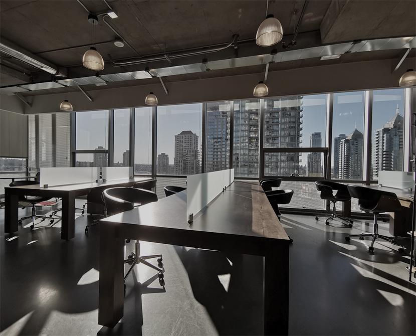 Case Studies | Old Moon Digital